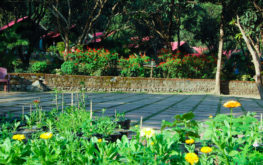 Gallery - Pebbles Resort Rishikesh